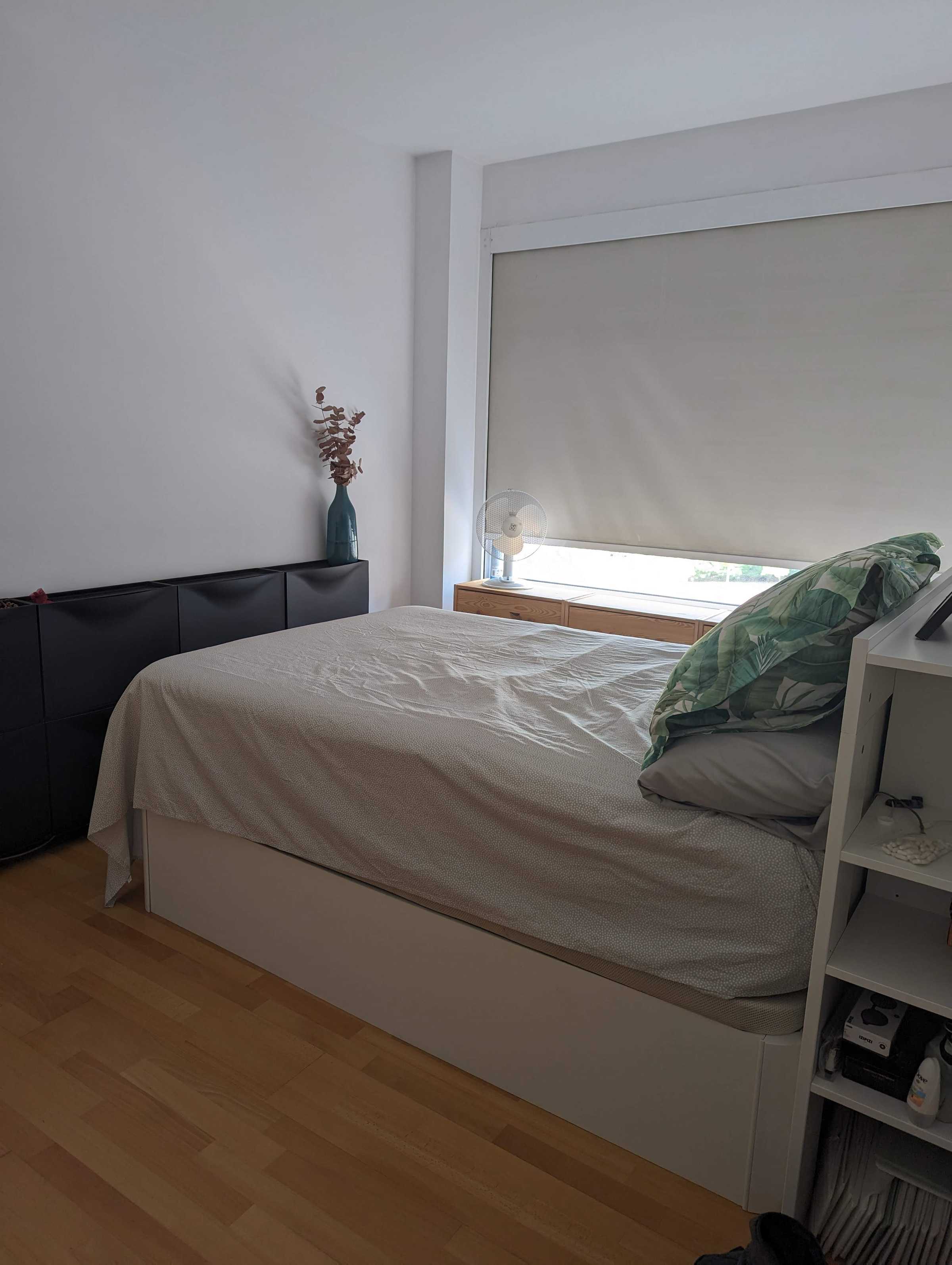 How Our Brains Anticipate Movement | Movement Kitchen